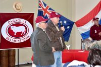 Belmont red cattle video & photo gallery